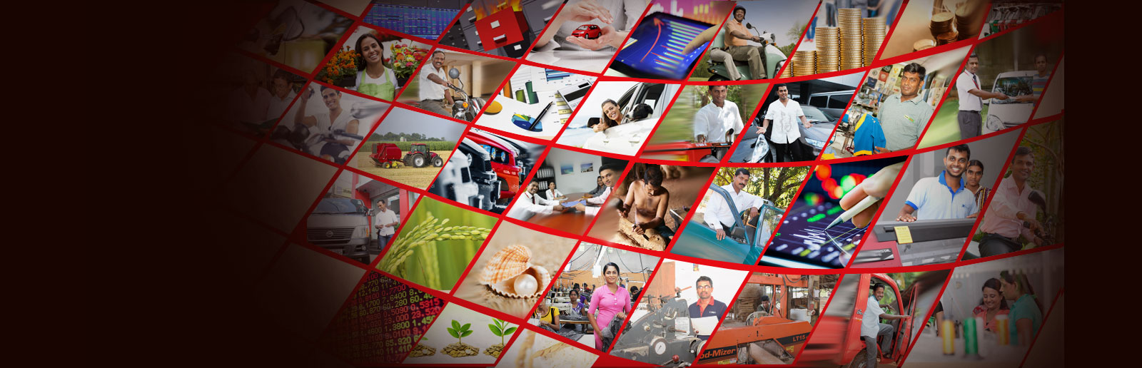 DPMC Assetline Holdings (Pvt) Ltd | Home